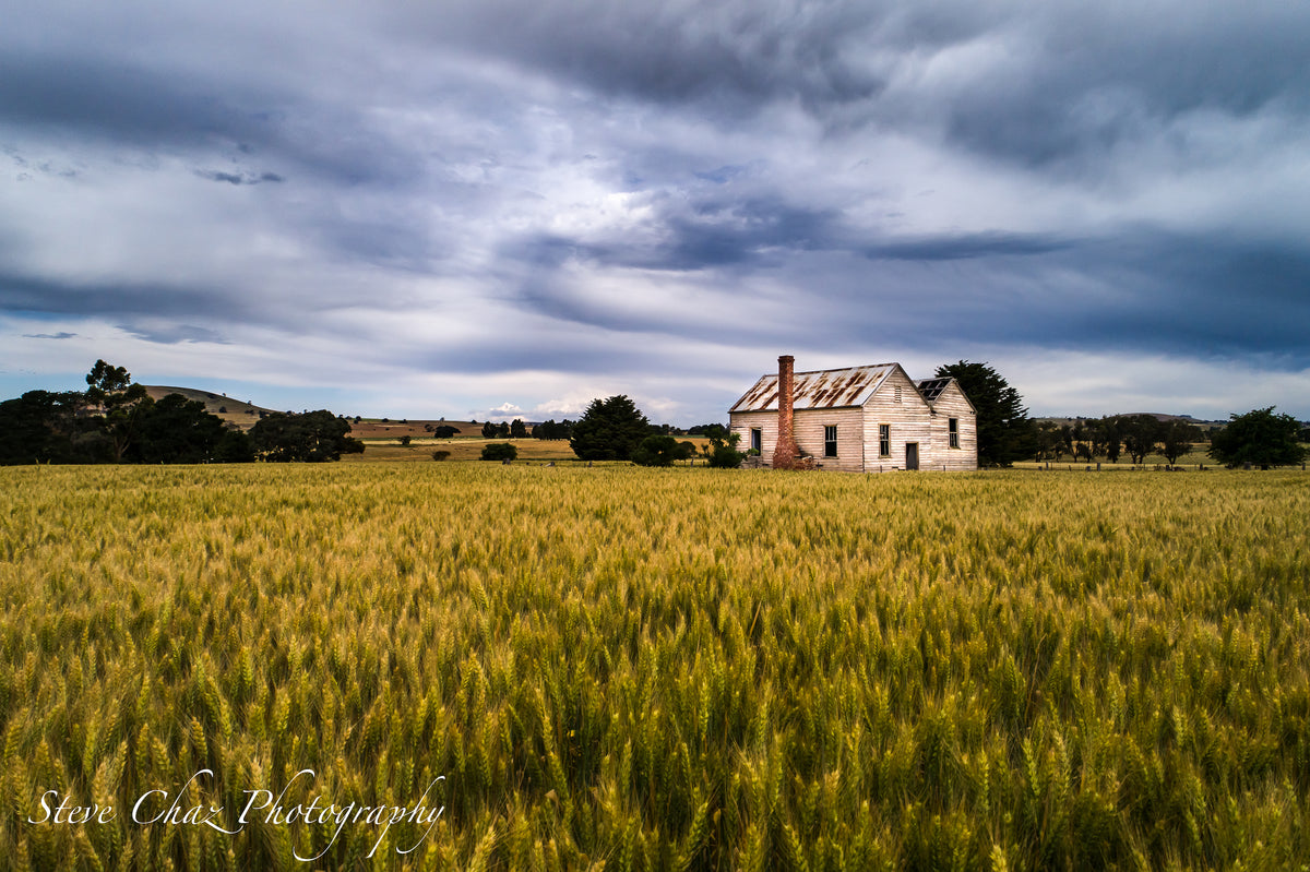 Wheat Shack – Steve Chaz Photography